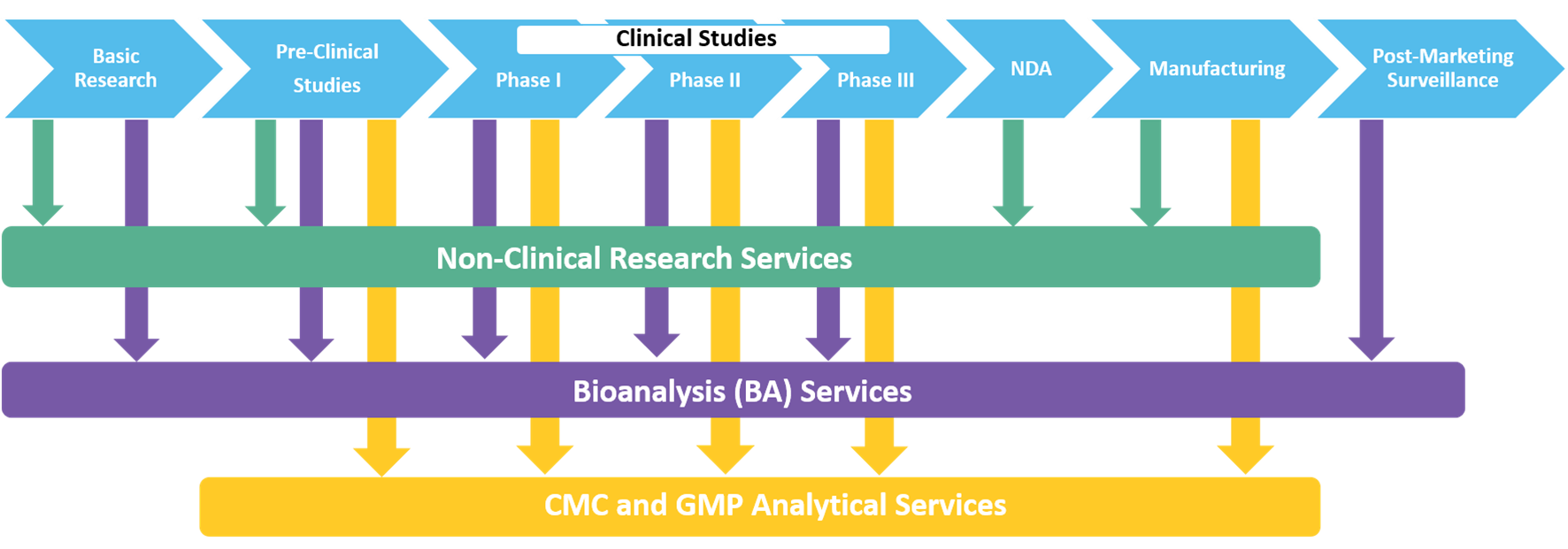 Non-Clinical CRO Solutions - CMIC | Pharmaceutical Development Services ...