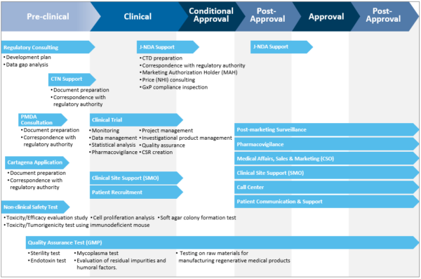 Cell & Gene Therapy - CMIC | Pharmaceutical Development Services (CRO, CDMO, CSO, Healthcare ...